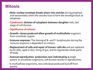 The mitotic cell cycle | PPT