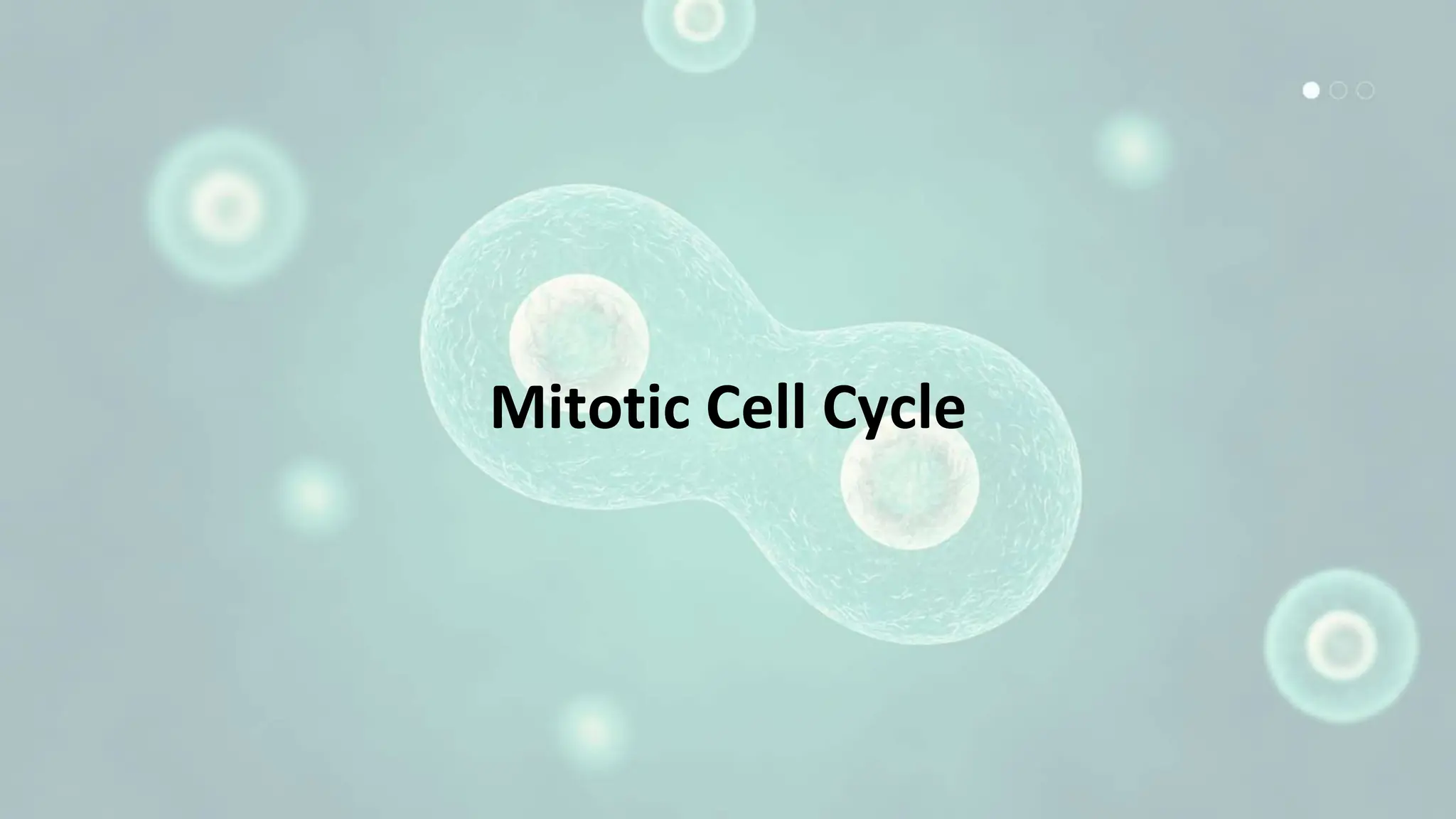 Stages of mitotic cell cycle A Level Biology | PPTX