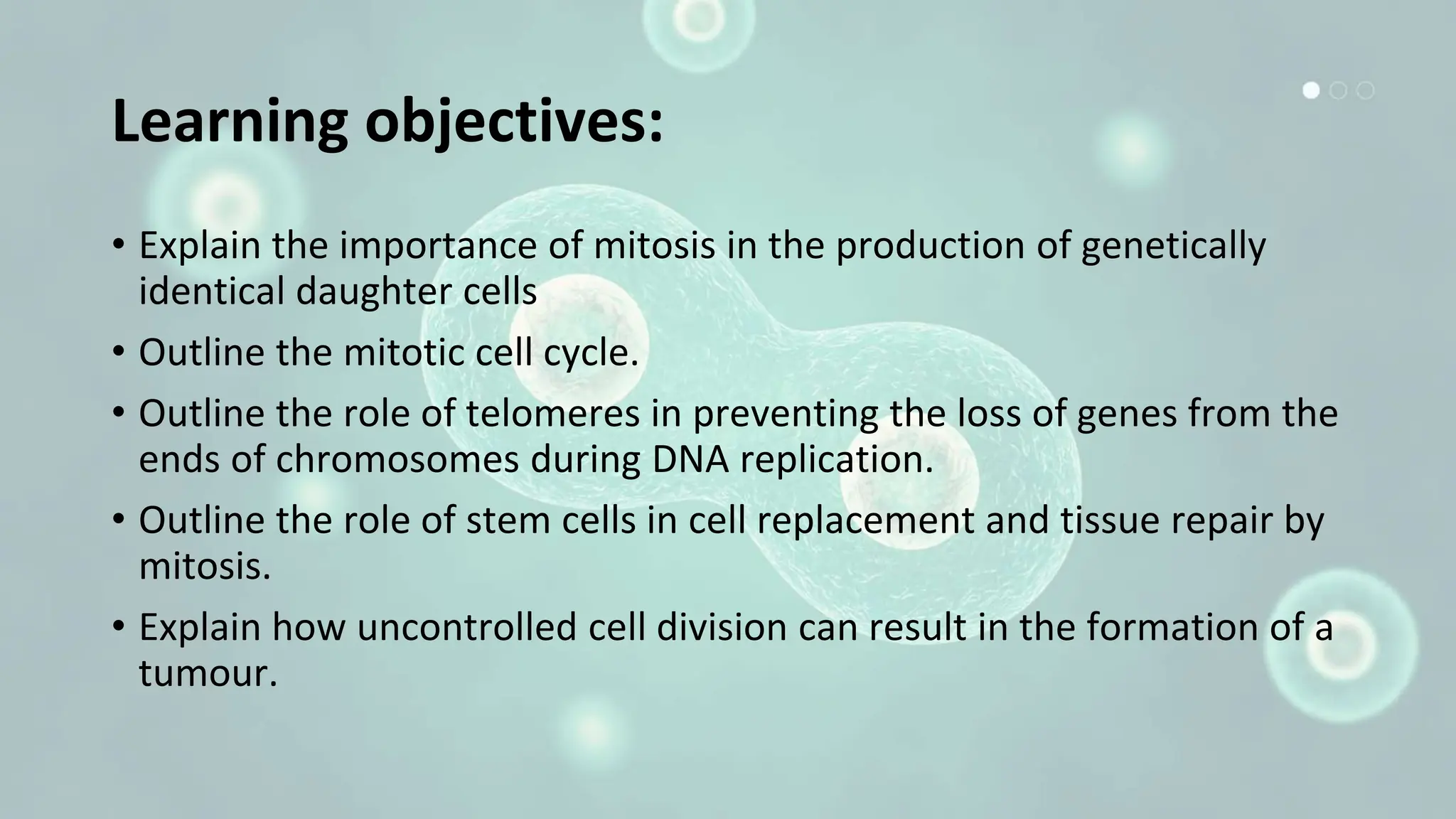 Stages of mitotic cell cycle A Level Biology | PPTX | Biological ...
