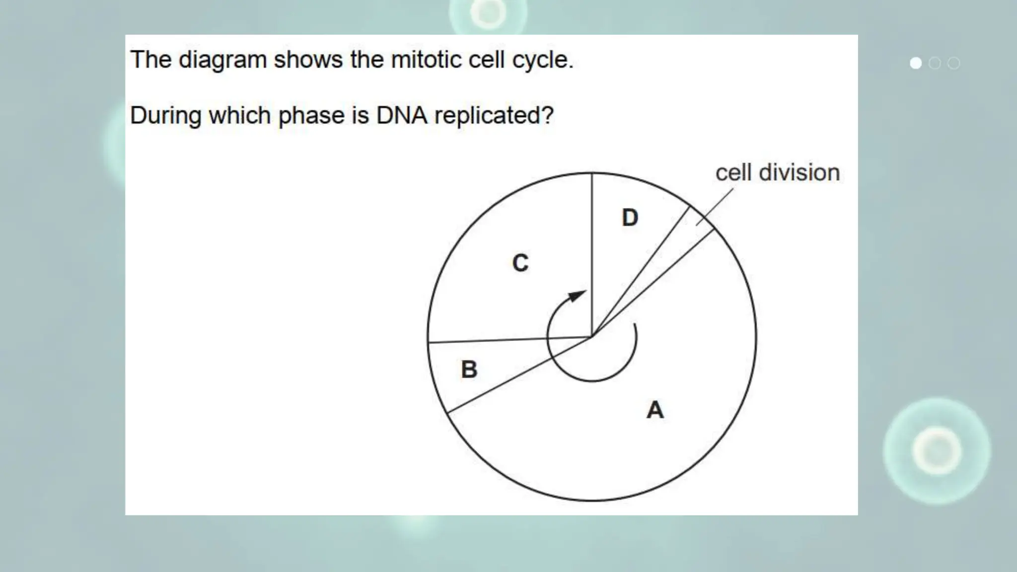 Stages of mitotic cell cycle A Level Biology | PPTX