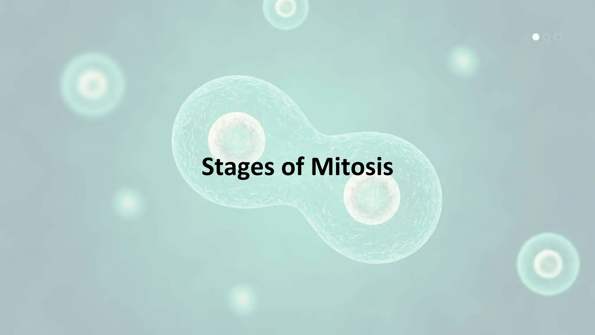 Stages of mitotic cell cycle A Level Biology | PPTX