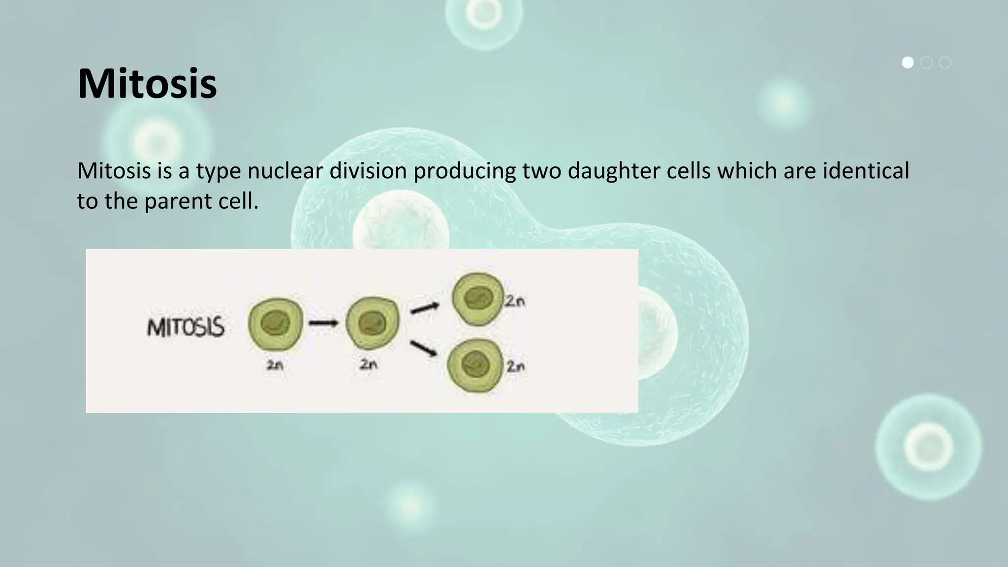 Stages of mitotic cell cycle A Level Biology | PPTX