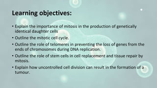 Stages of mitotic cell cycle A Level Biology | PPTX