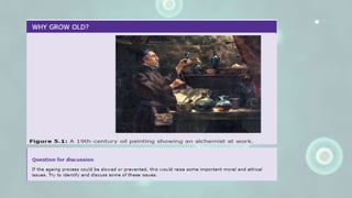 Stages of mitotic cell cycle A Level Biology | PPTX
