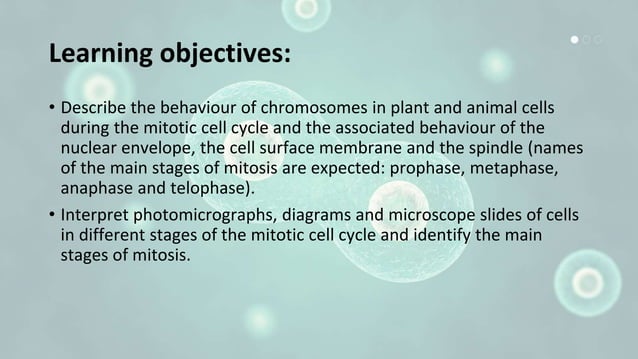 Stages of mitotic cell cycle A Level Biology | PPTX | Biological ...