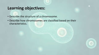 Stages of mitotic cell cycle A Level Biology | PPTX