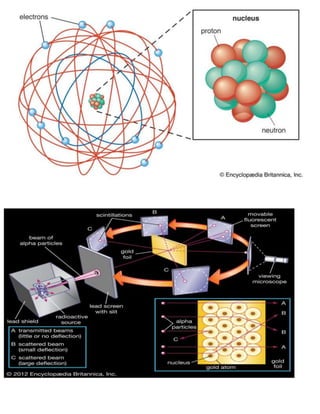 the model of the atom proposed by Ernest Rutherford.docx