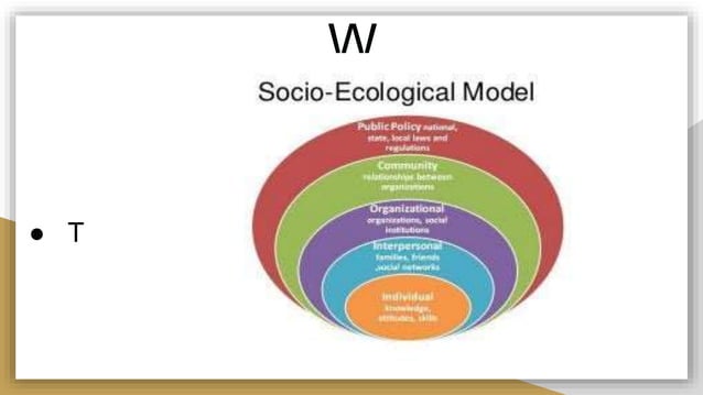 The MODELS OF PUBLIC HEALTH.pptx