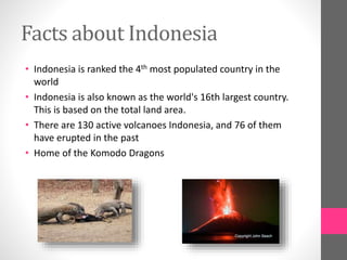 The modern and traditional indonesia | PPTX