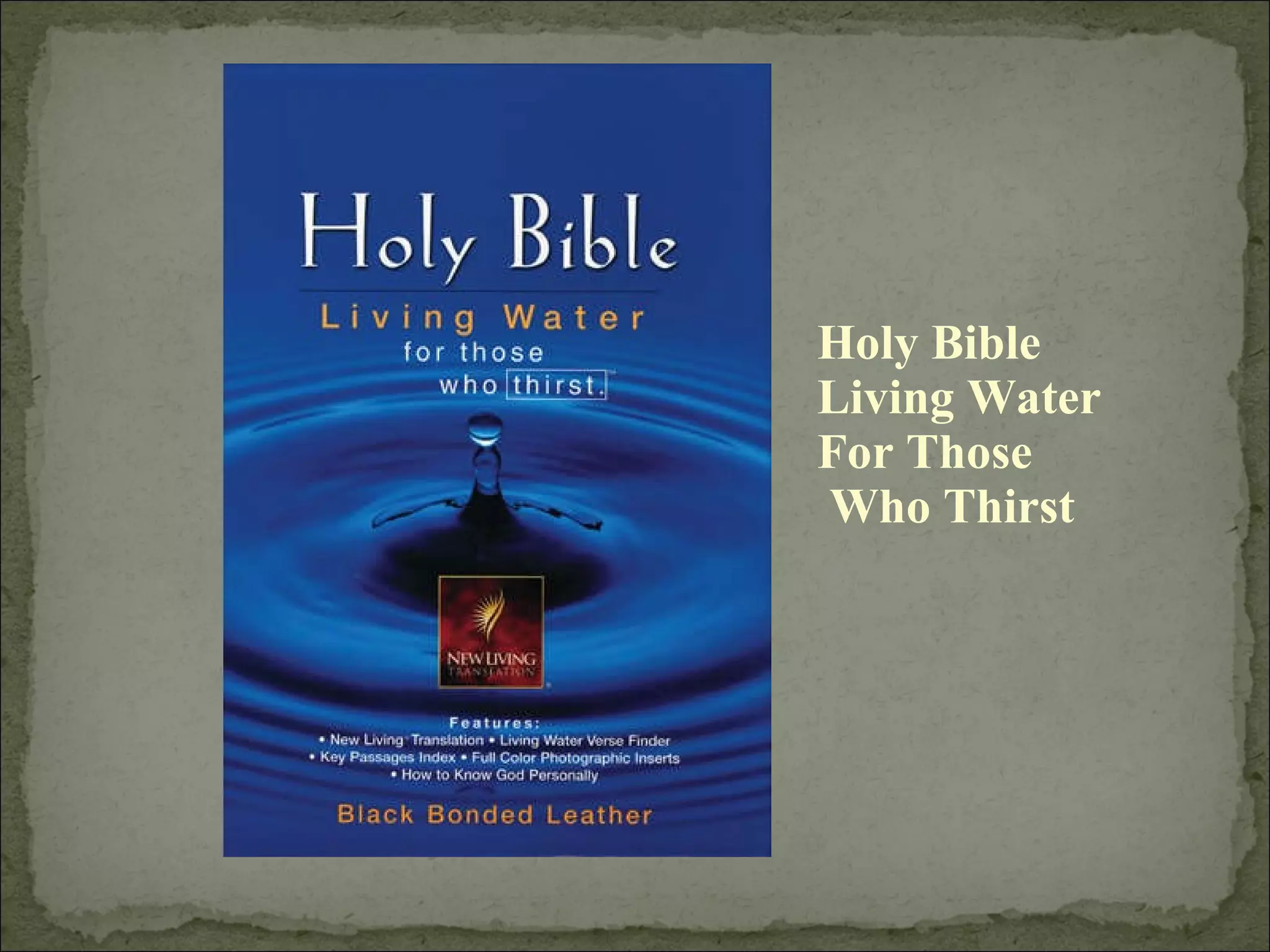 The Modern Bible | PPT