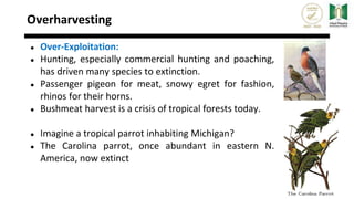 The modern threats to biodiversity(1).pptx