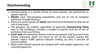 The modern threats to biodiversity(1).pptx