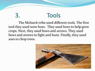 The mohawk tribe colin | PPT