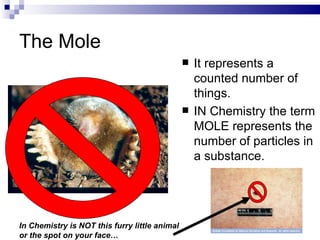 The mole | PPT