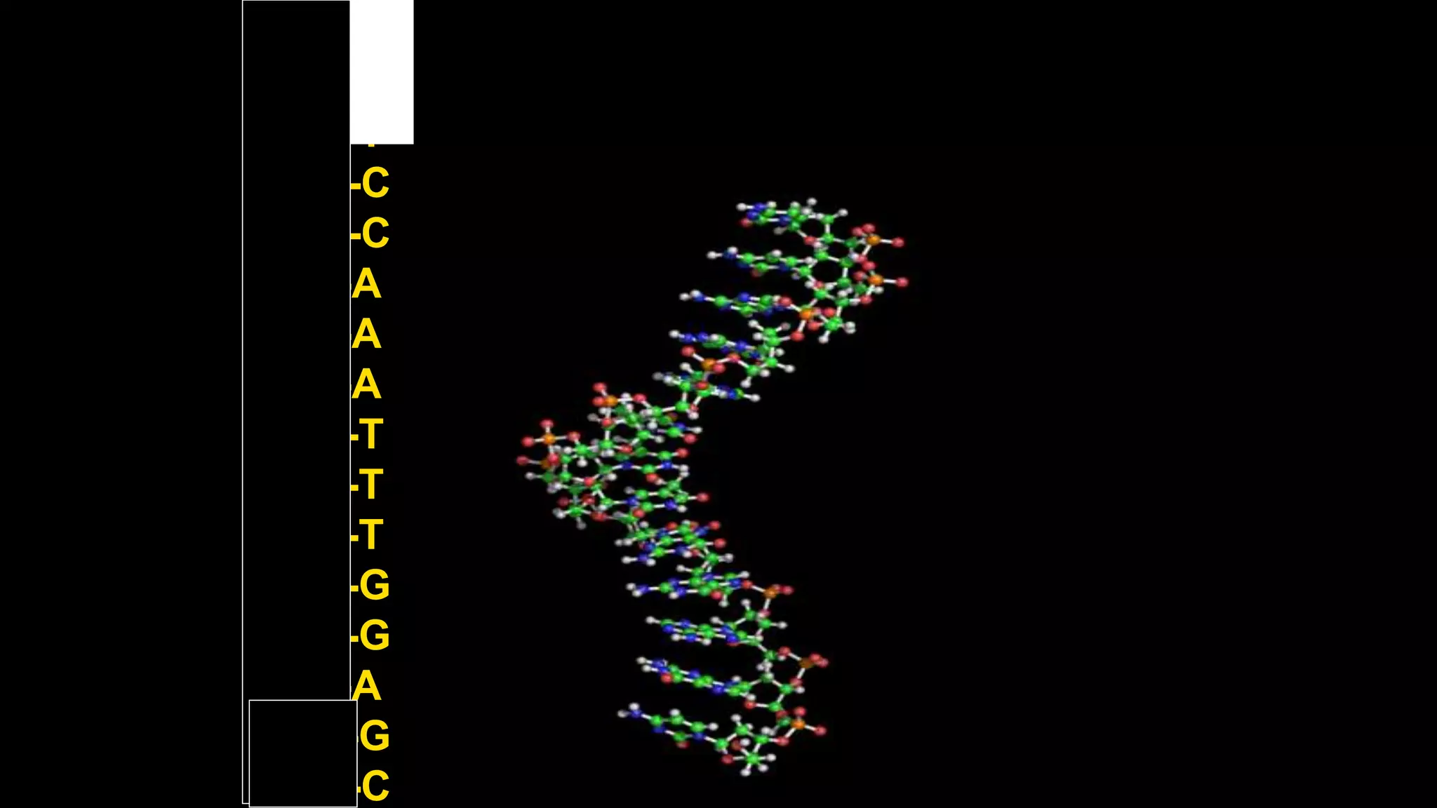 The molecular basis of inheritance class 12 | PPTX