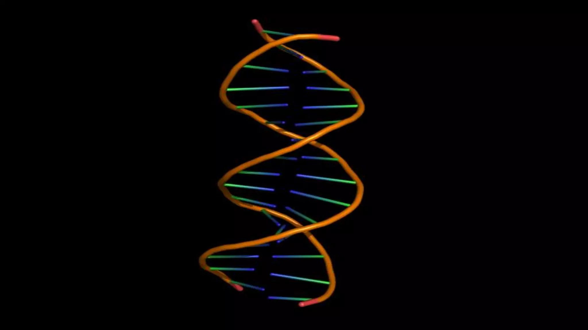 The molecular basis of inheritance class 12 | PPTX
