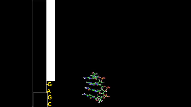 The molecular basis of inheritance class 12 | PPTX | Chemistry | Science