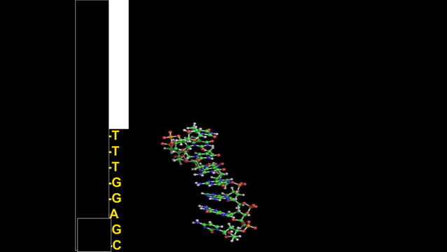 The molecular basis of inheritance class 12 | PPTX | Chemistry | Science