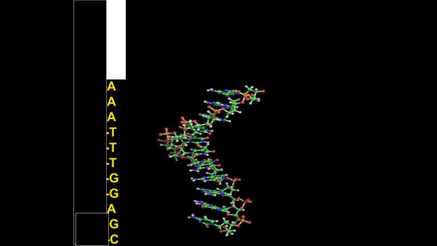 The molecular basis of inheritance class 12 | PPTX | Chemistry | Science