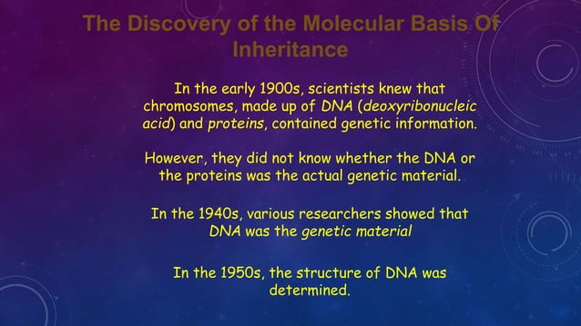 The molecular basis of inheritance class 12 | PPTX | Chemistry | Science