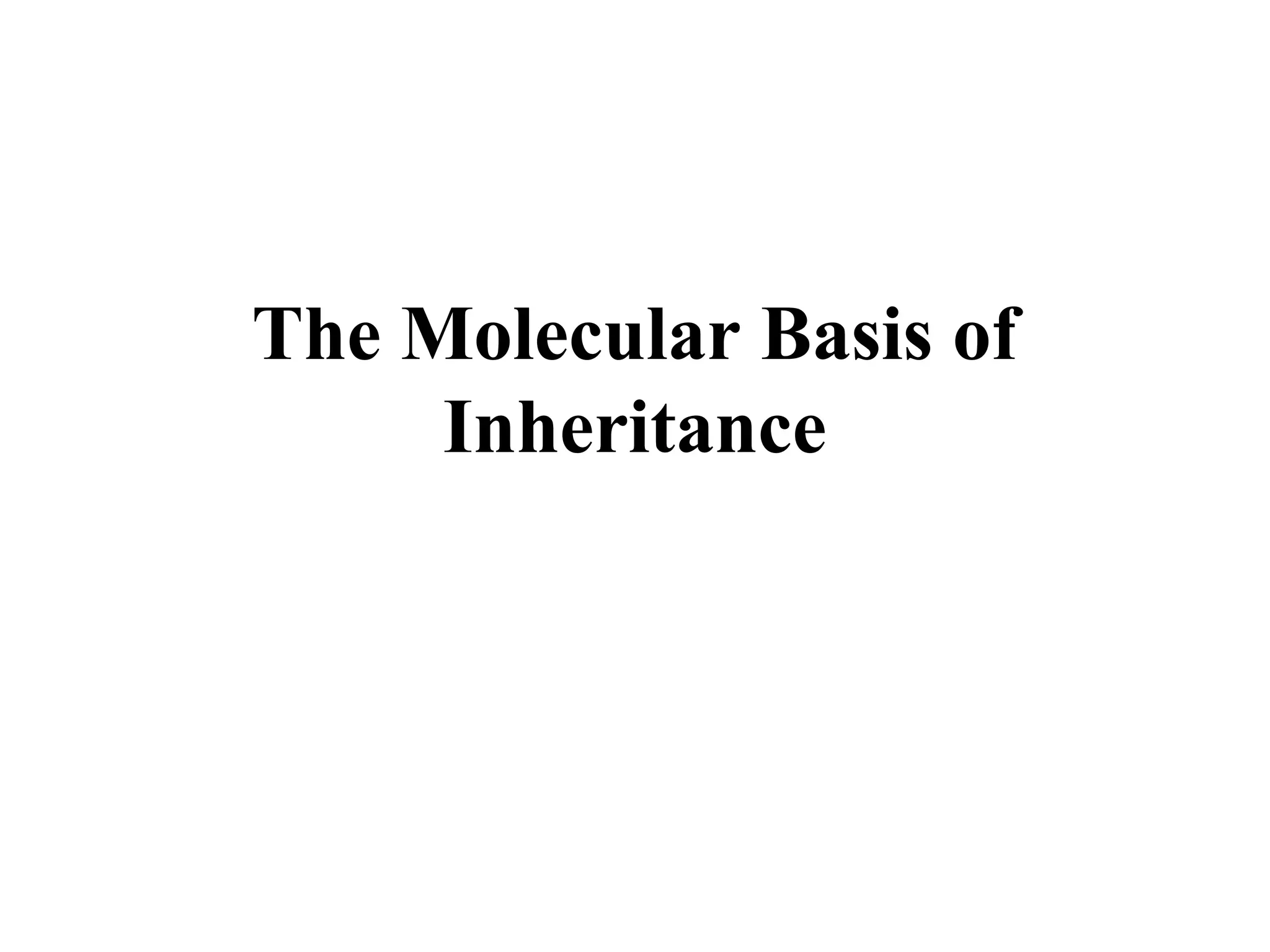 The molecular basis of inheritance | PPT