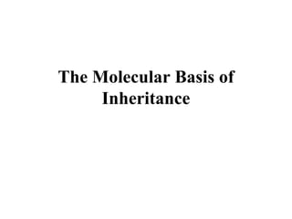The molecular basis of inheritance | PPT