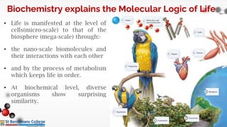 The molecular logic of life | PPTX