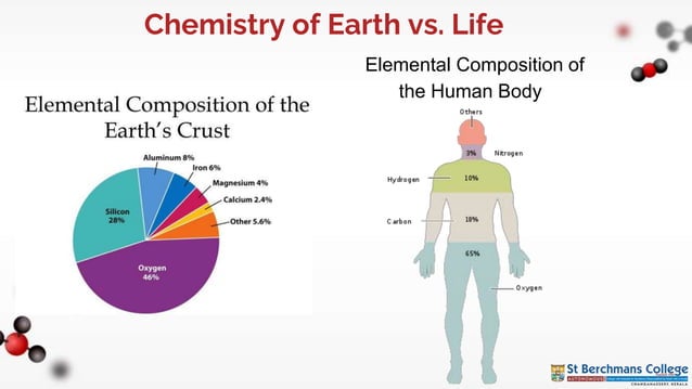 The molecular logic of life | PPTX | Biological Sciences | Science
