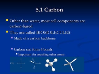 The Molecules of Life and Carbohydrates.ppt