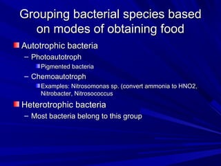 The monera | PPT | Biological Sciences | Science