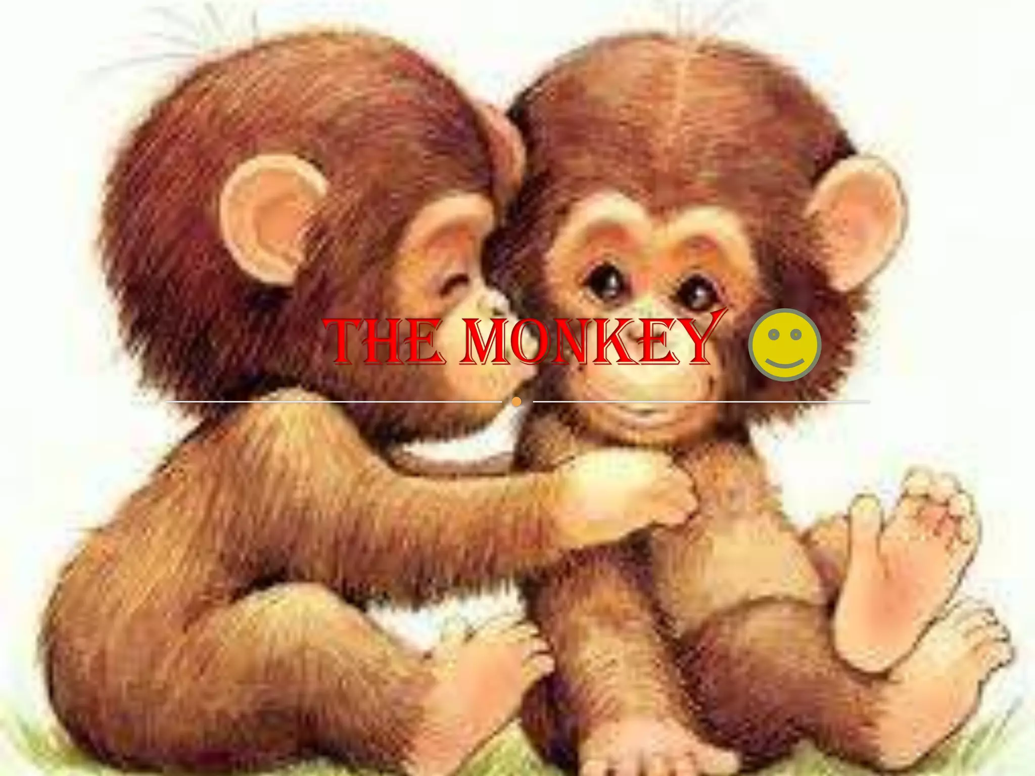 The monkey | PPT