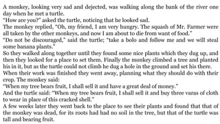 The Monkey and the Turtle.pptx