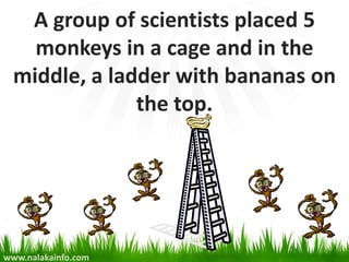 The monkey game | PPTX | Science