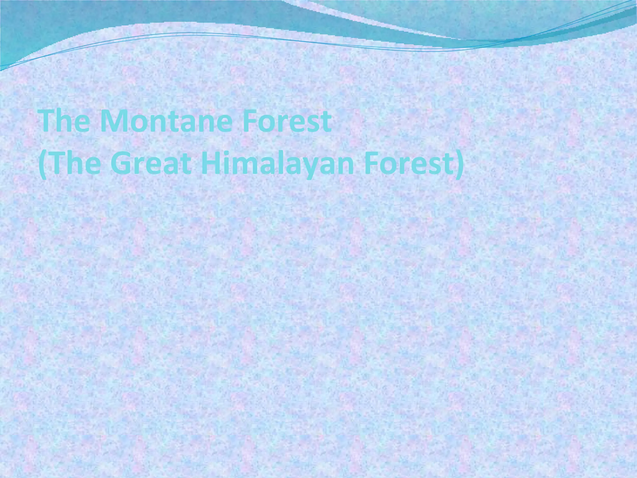 The montane forrest for class 9 | PPT
