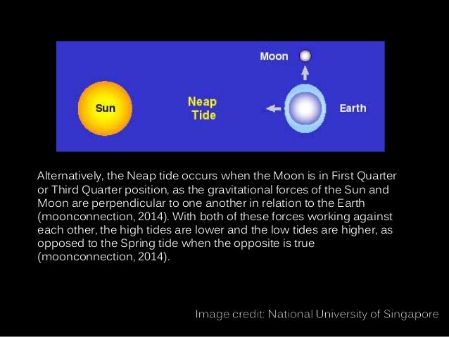 Introduction to the moon