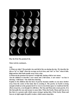 The Moon | PDF