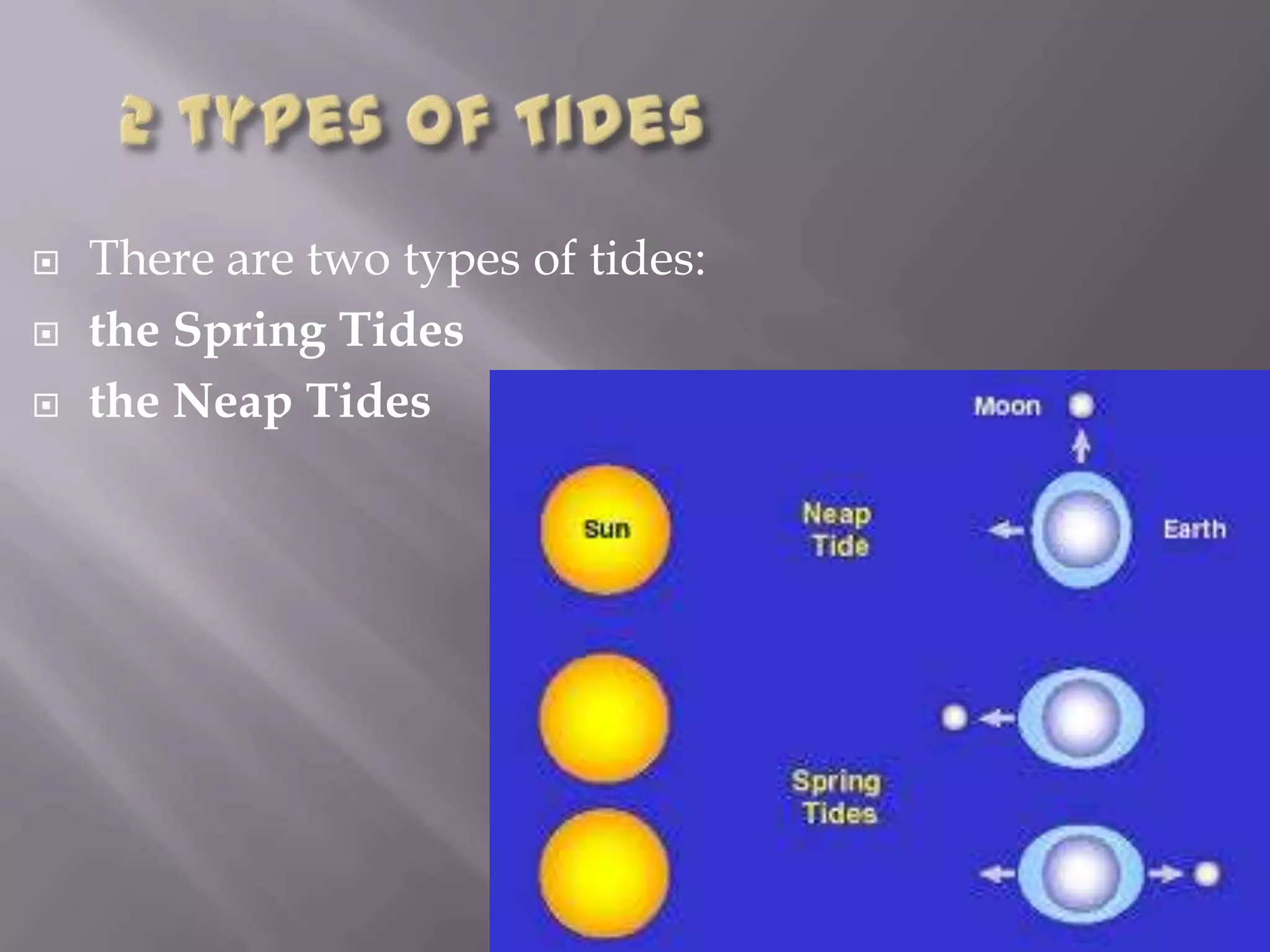 The moon and tides | PPTX