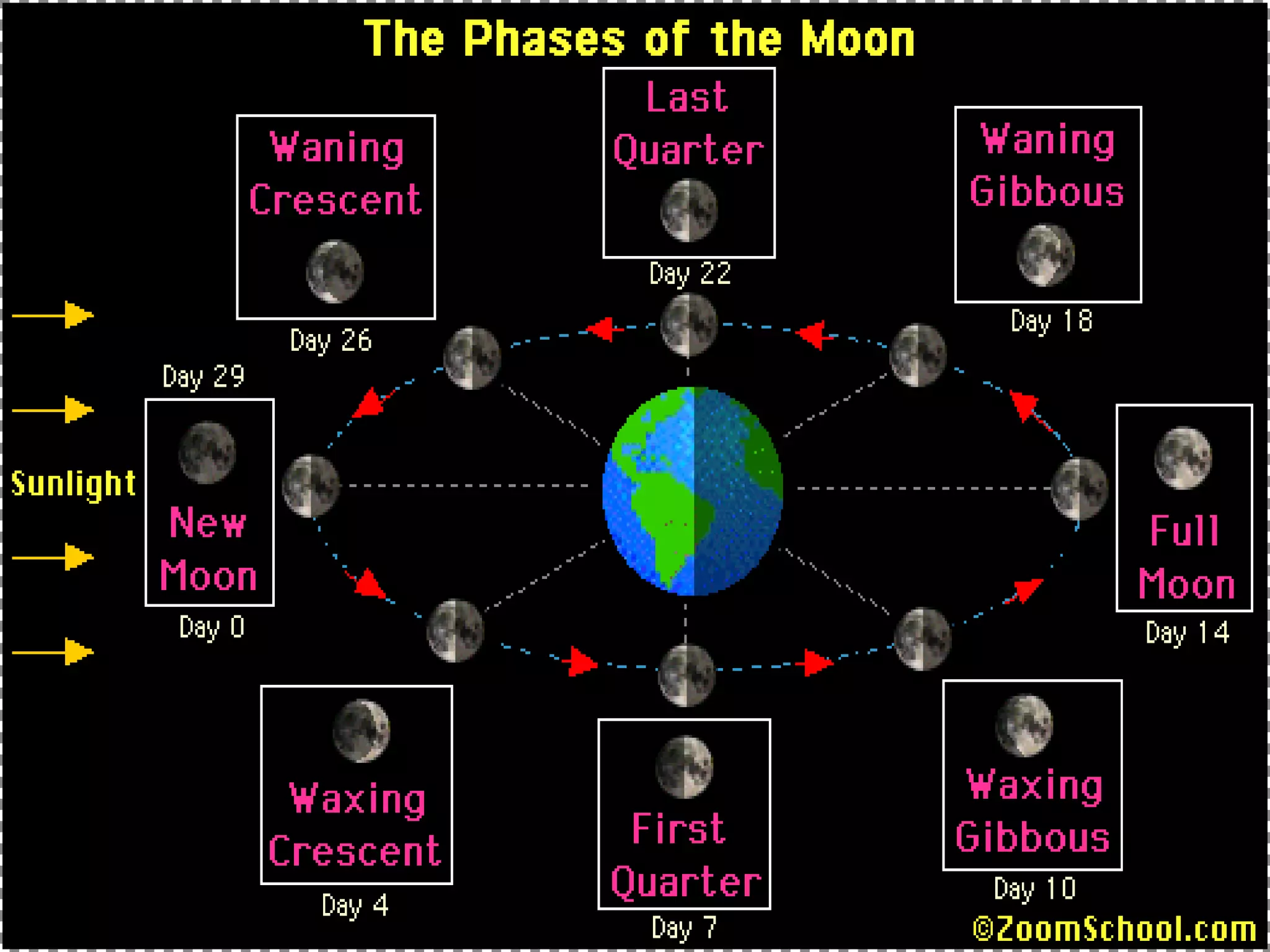 The Moon phases | PPT