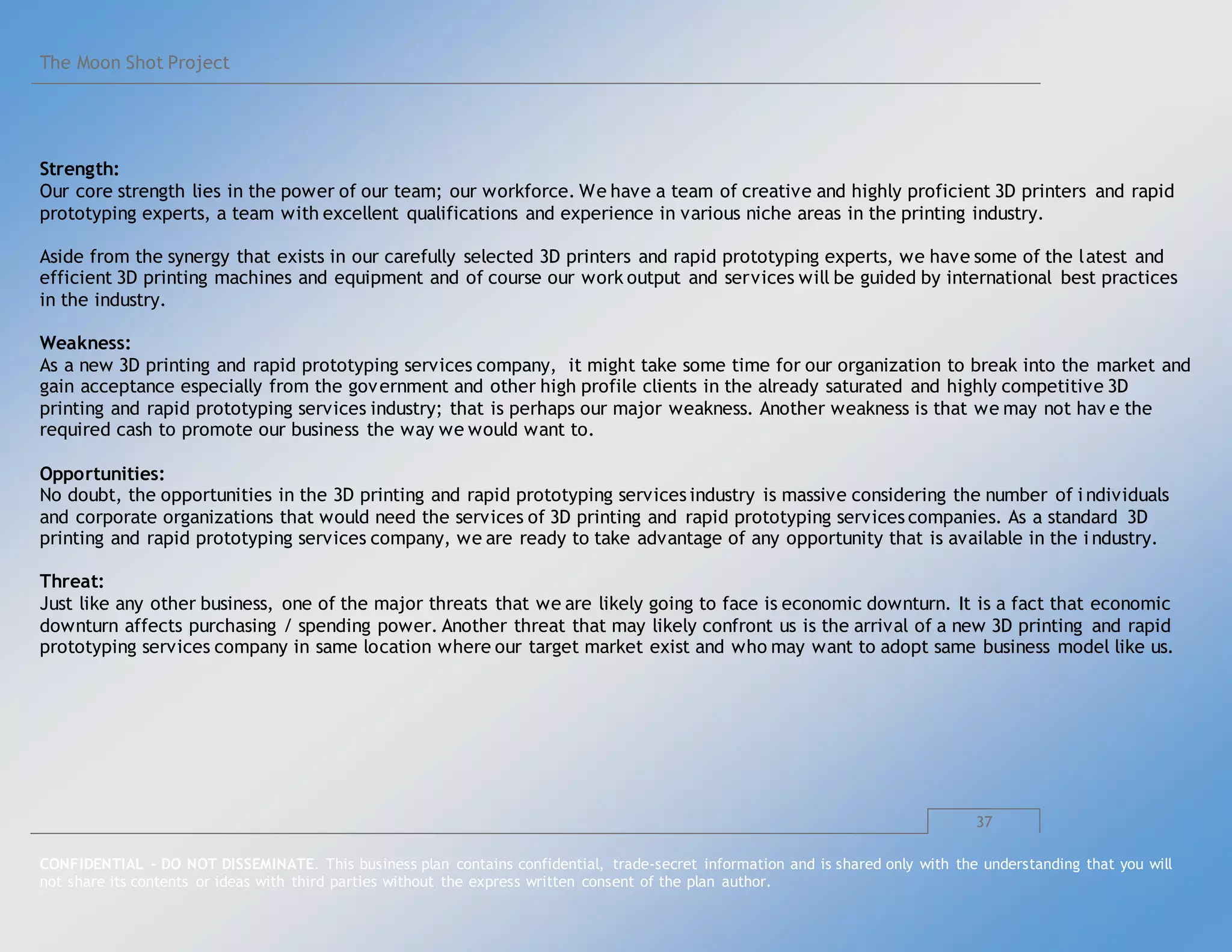 The Moon Shot Project Business Plan | DOCX