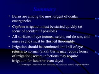 Morgan Lens for ALS Providers | PPT