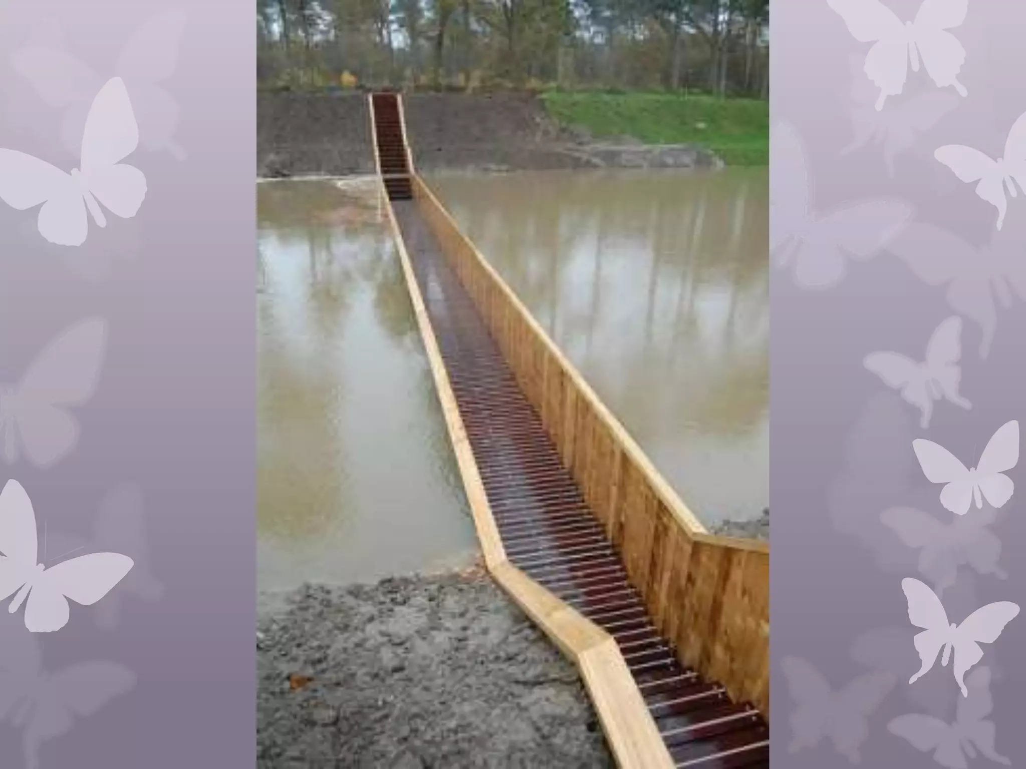 The moses bridge, the netherlands | PPTX
