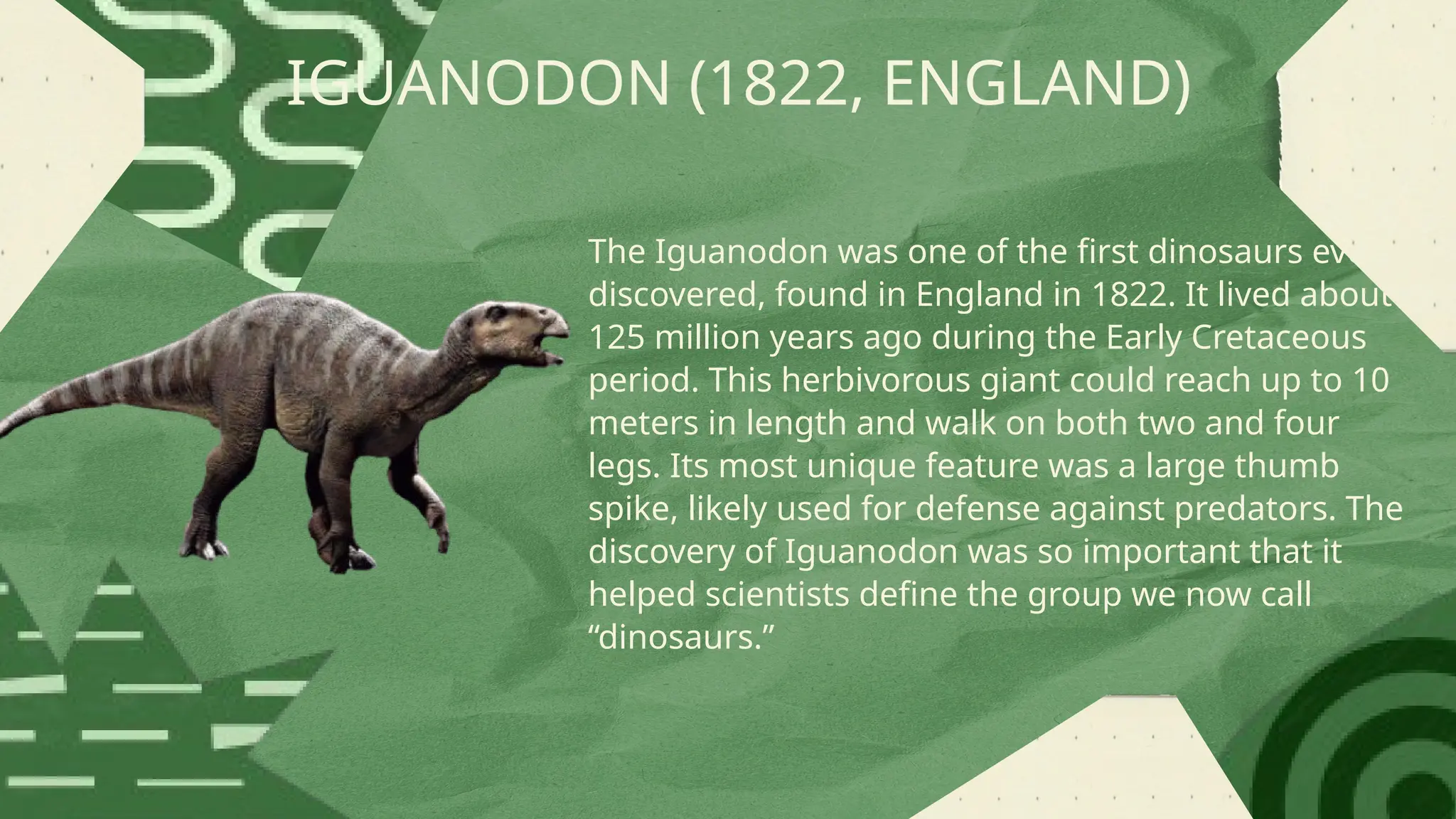 The most important fossil discovered (1) (1).pptx