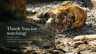 The Most Poached Animals Around The World | PDF | Zoos & Aquariums ...