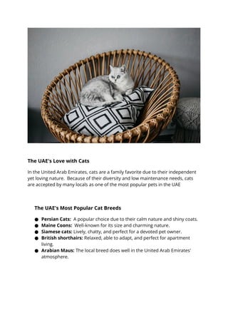 The Most Popular Pets in the UAE (1).docx