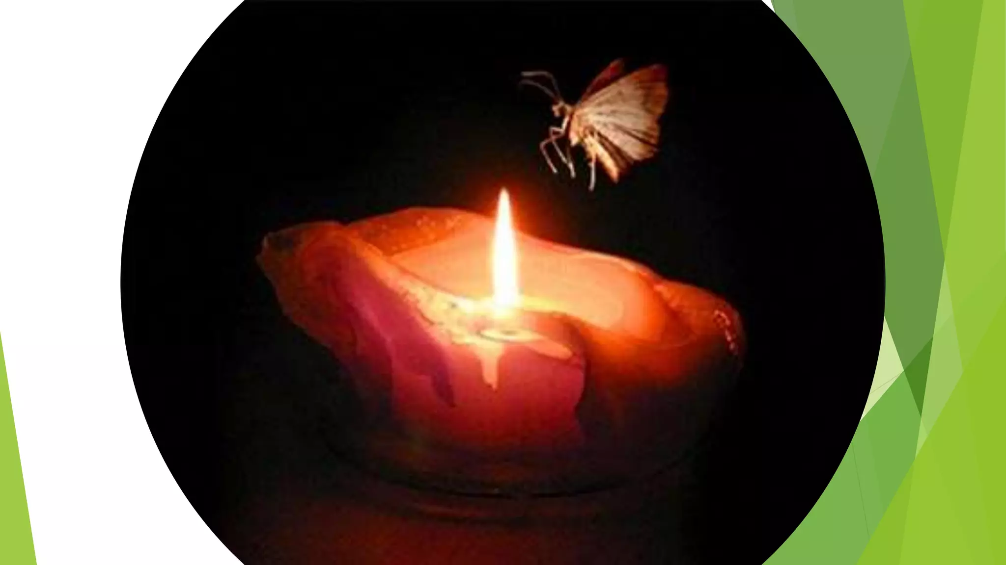 the moth and the flame.pptx