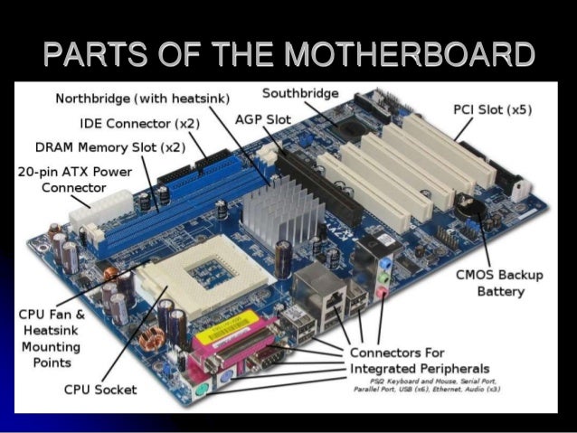 The Motherboard