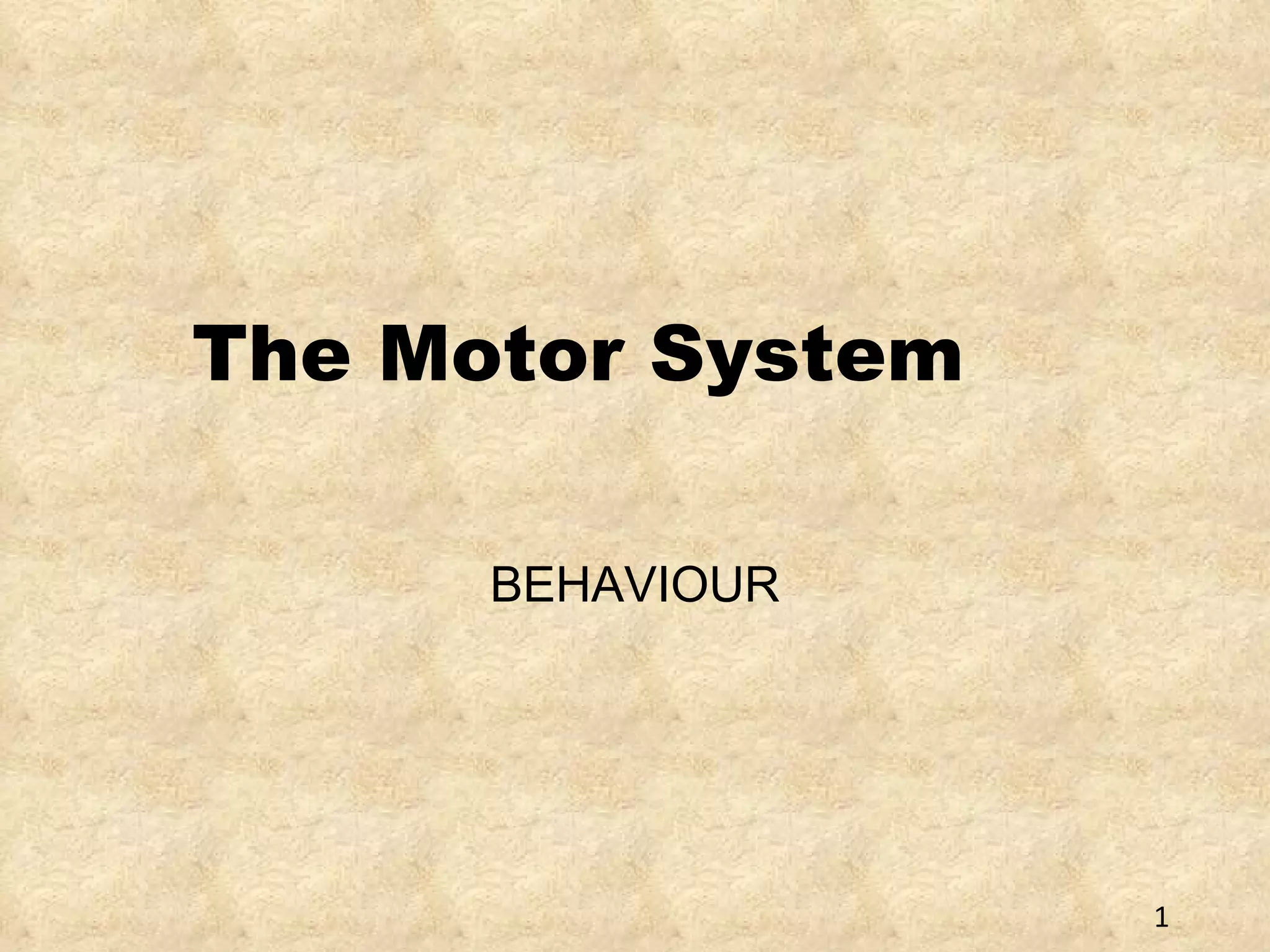The motor system | PPS