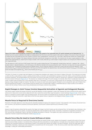 The_Motor_Unit_and_Muscle_Action.pdf