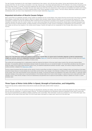 The_Motor_Unit_and_Muscle_Action.pdf