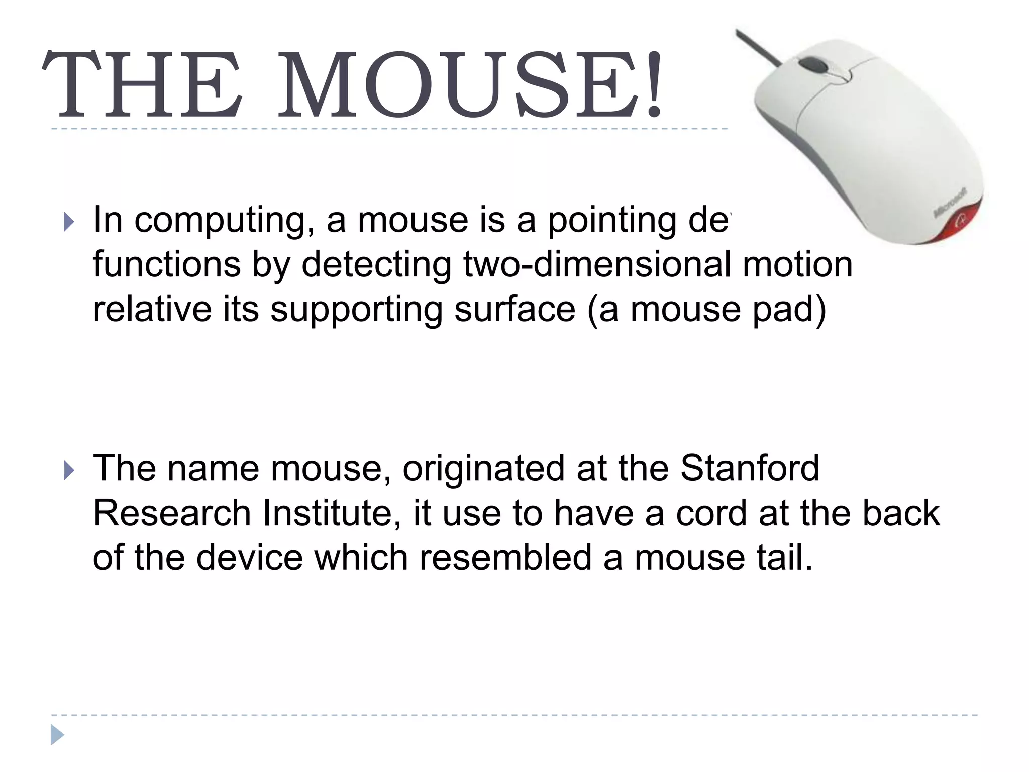 The Mouse | PPTX